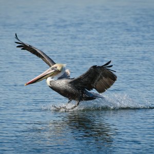 Hot Landing | DPReview Forums