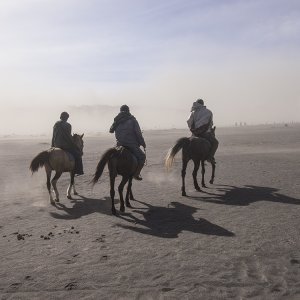 SP100105 | DPReview Forums