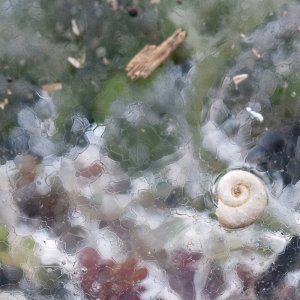 proda | DPReview Forums