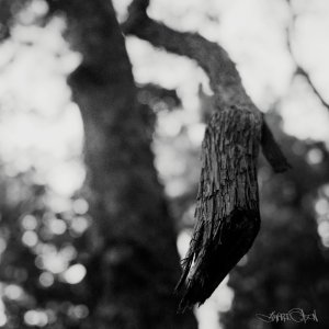 (The High Heeled Shoe) in Witches Gulch | DPReview Forums