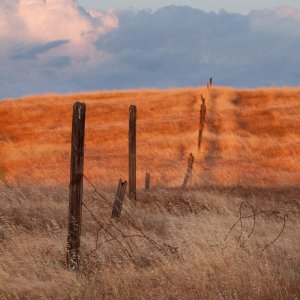 scott-road | DPReview Forums