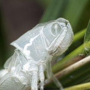 Nobodys Home | DPReview Forums