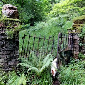 Picture 033 | DPReview Forums