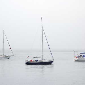 042 | DPReview Forums