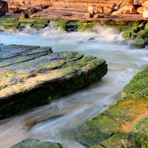 Morning Down on the Beach | DPReview Forums