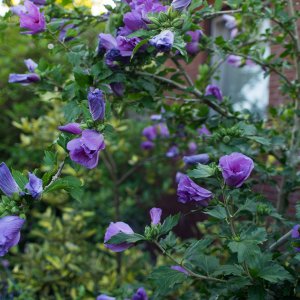 vegesack | DPReview Forums