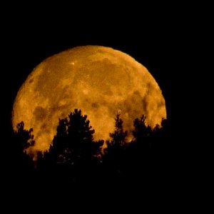 mne | DPReview Forums