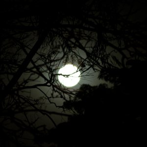 Hidden moon | DPReview Forums