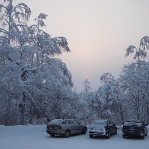 008 | DPReview Forums