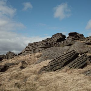 SDIM4672 | DPReview Forums