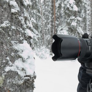 luonto | DPReview Forums