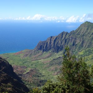 point-n-shoot | DPReview Forums