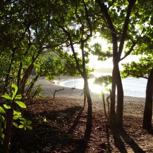 point-n-shoot | DPReview Forums