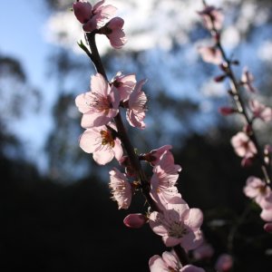 Colo River 30 | DPReview Forums