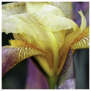 presby | DPReview Forums