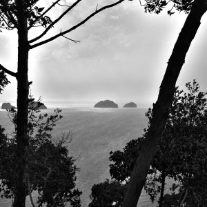 samui-island-view-sea-tree-cliff-black-and-white | DPReview Forums