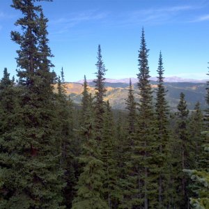 193067_516087765071607_237379801_o | DPReview Forums