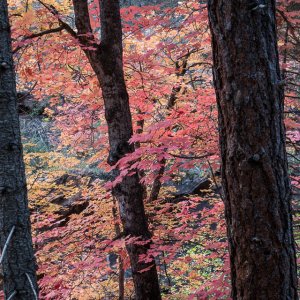 SAM_0160 | DPReview Forums