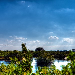 high-water | DPReview Forums