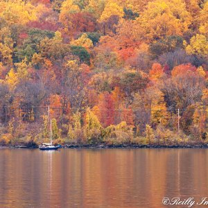 Hudson River Fall Foliage-013 | DPReview Forums