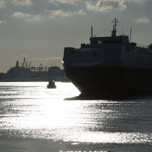 tynemouth | DPReview Forums