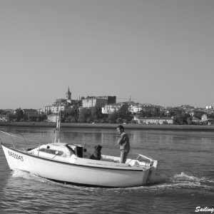 PICT7222-03-bw-vert-p | DPReview Forums