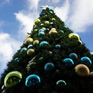 christmas in blue and green | DPReview Forums