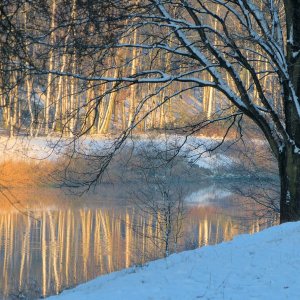 drunen | DPReview Forums