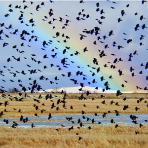 KL12 Rainbow luck | DPReview Forums