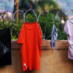 barblines | DPReview Forums