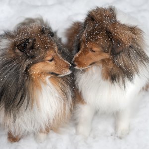 patrick | DPReview Forums