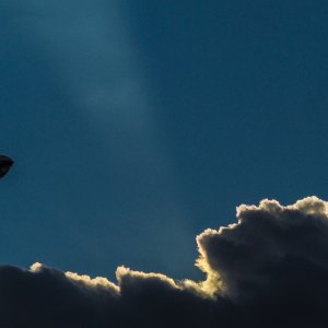 sunland-sunset | DPReview Forums