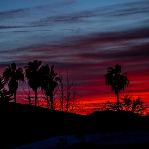 sunland-sunset | DPReview Forums