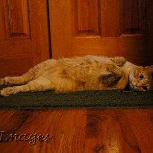 11 01 29 Owen-2 | DPReview Forums