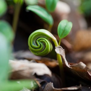 nordrhein-westfalen | DPReview Forums