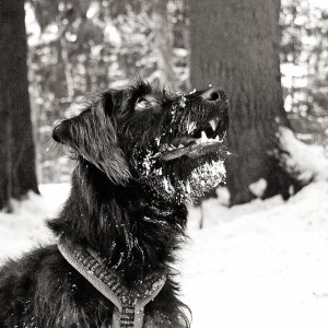 e-pl3 | DPReview Forums