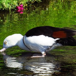 SX50 (5 of 10) | DPReview Forums