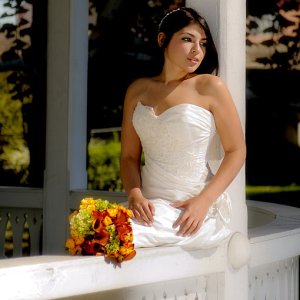 THE Day... | DPReview Forums