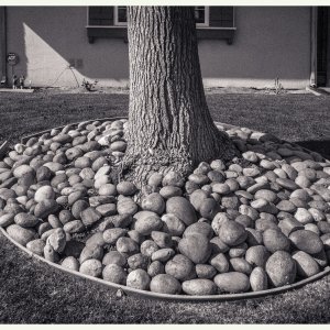 Rock Ring | DPReview Forums