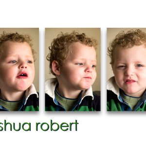 triptych | DPReview Forums