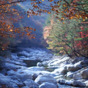 jirisan | DPReview Forums