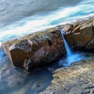 noosa | DPReview Forums