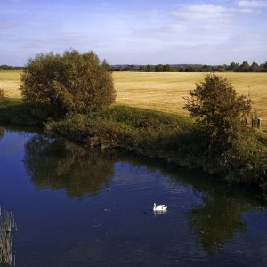 stratford | DPReview Forums