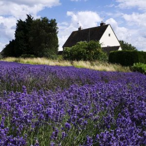 rolling | DPReview Forums