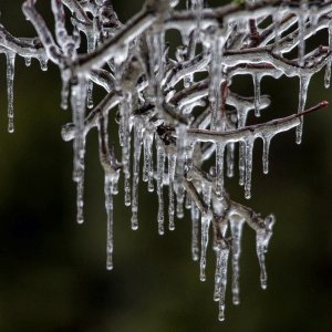 Frozen | DPReview Forums