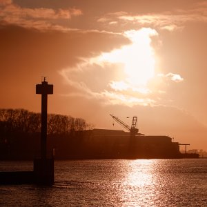 vegesack | DPReview Forums