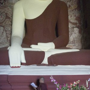 moine | DPReview Forums