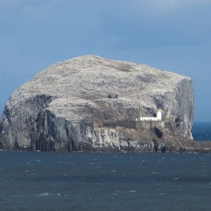 Bass Rock, Firth of Forth. | DPReview Forums