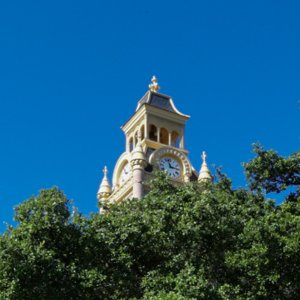 Tower | DPReview Forums