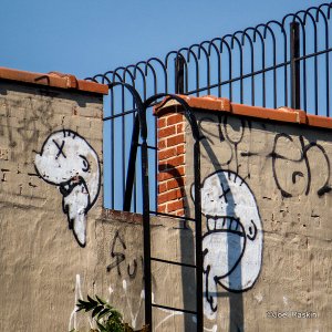 tenement | DPReview Forums